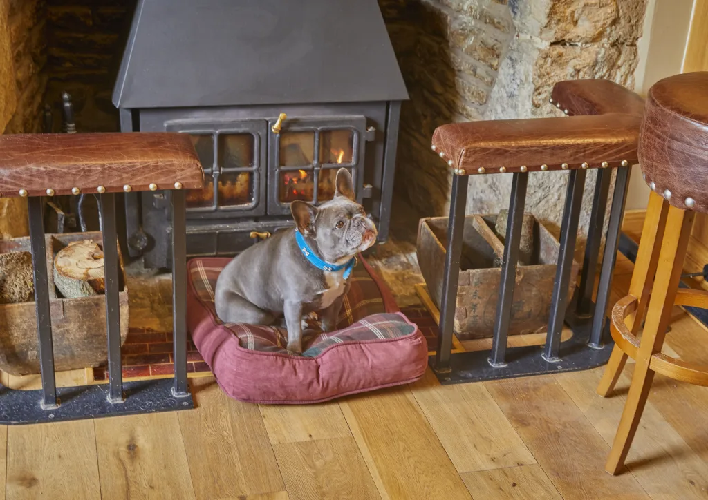 Full Moon Inn - Discover Frome